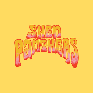 Shen Panthers – Bookings, Events, and Bio – Surreal